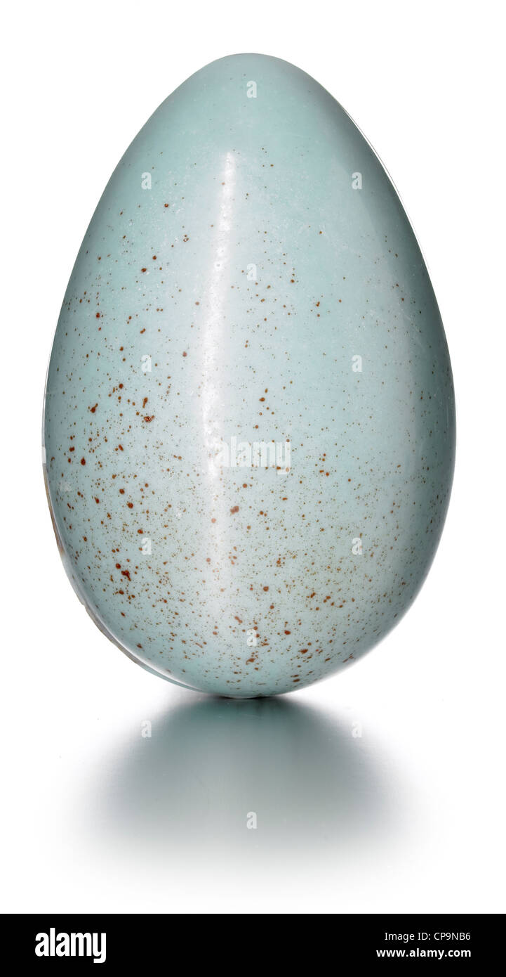Duck egg egg Cut Out Stock Images & Pictures - Alamy