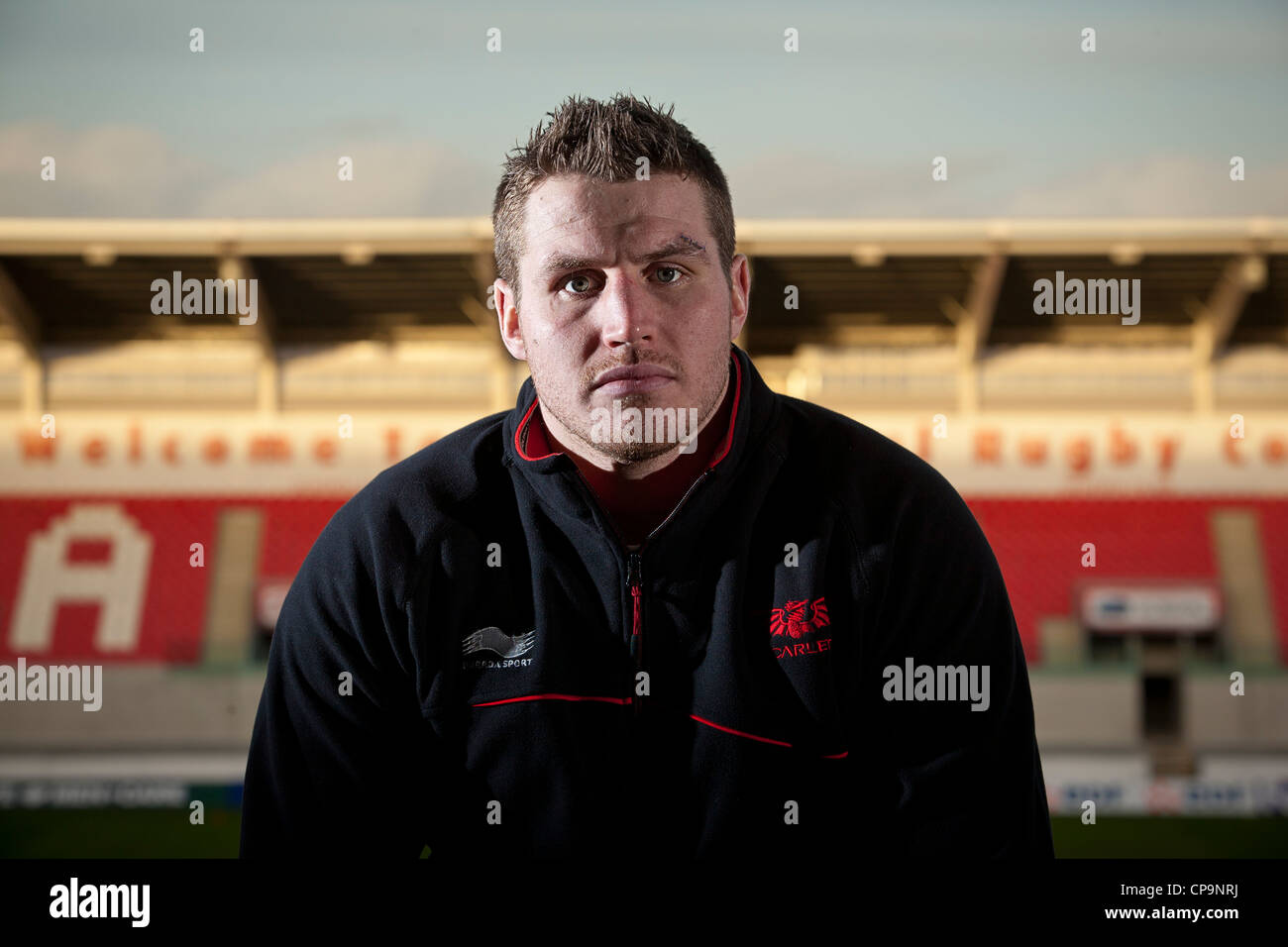 Rugby Player Ben Morgan, Scarlets and England Number 8 photographed in ...