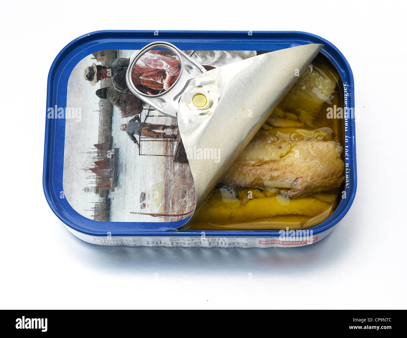 tin Pilchards open oil fish Stock Photo, Royalty Free Image: 48157884 ...