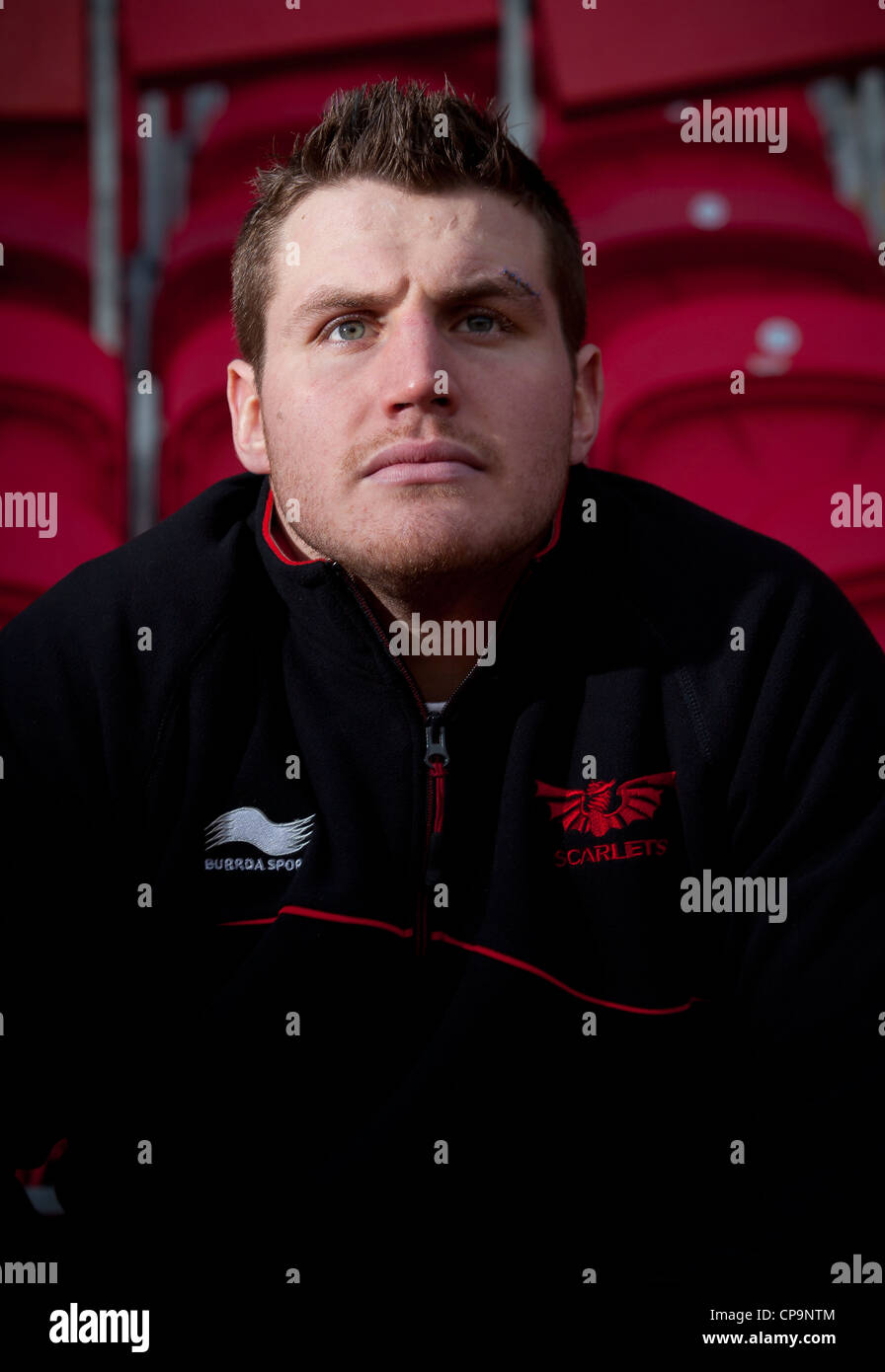 Rugby Player Ben Morgan, Scarlets and England Number 8 photographed in ...