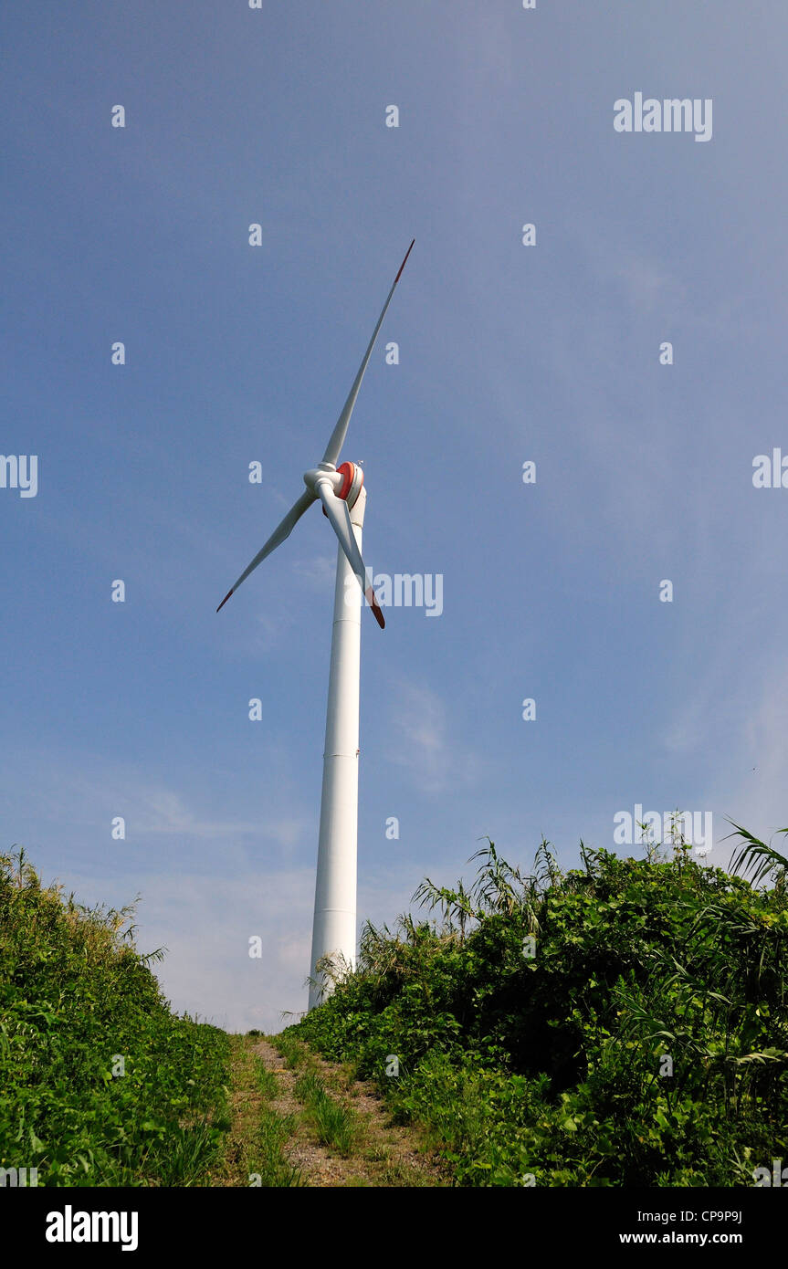 A wind turbine is a device that converts kinetic energy from the wind ...