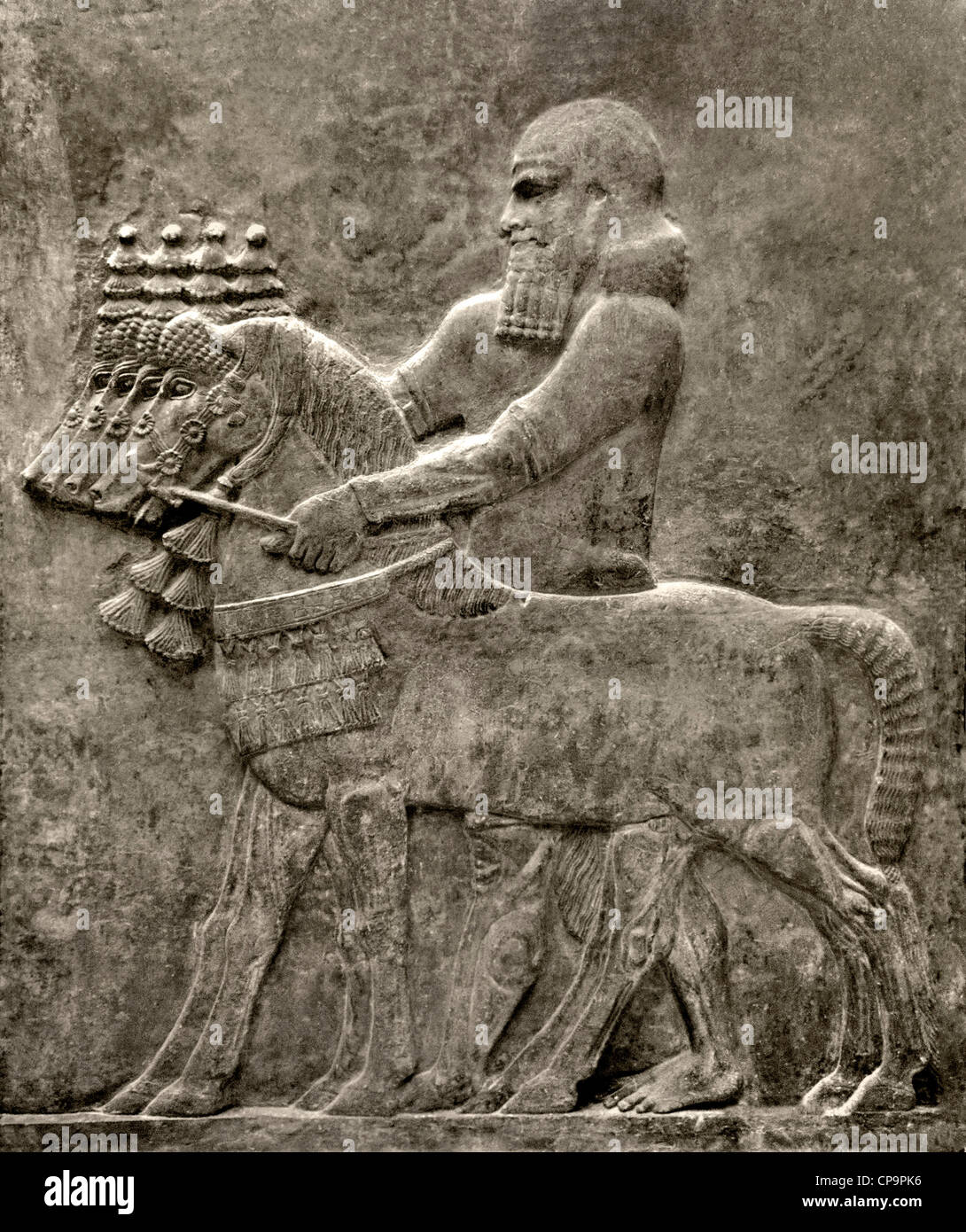 Driver of horses Neo Assyrian Sargon II 721-705 BC Khorsabad ancient ...
