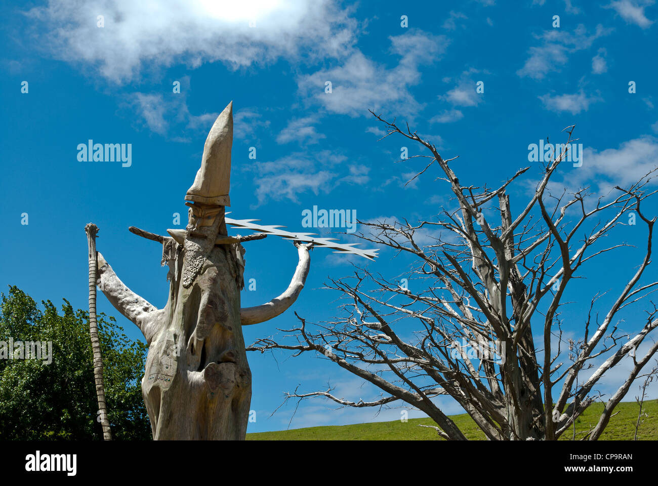 New Zealand North Island Pakiri tree carving Stock Photo - Alamy