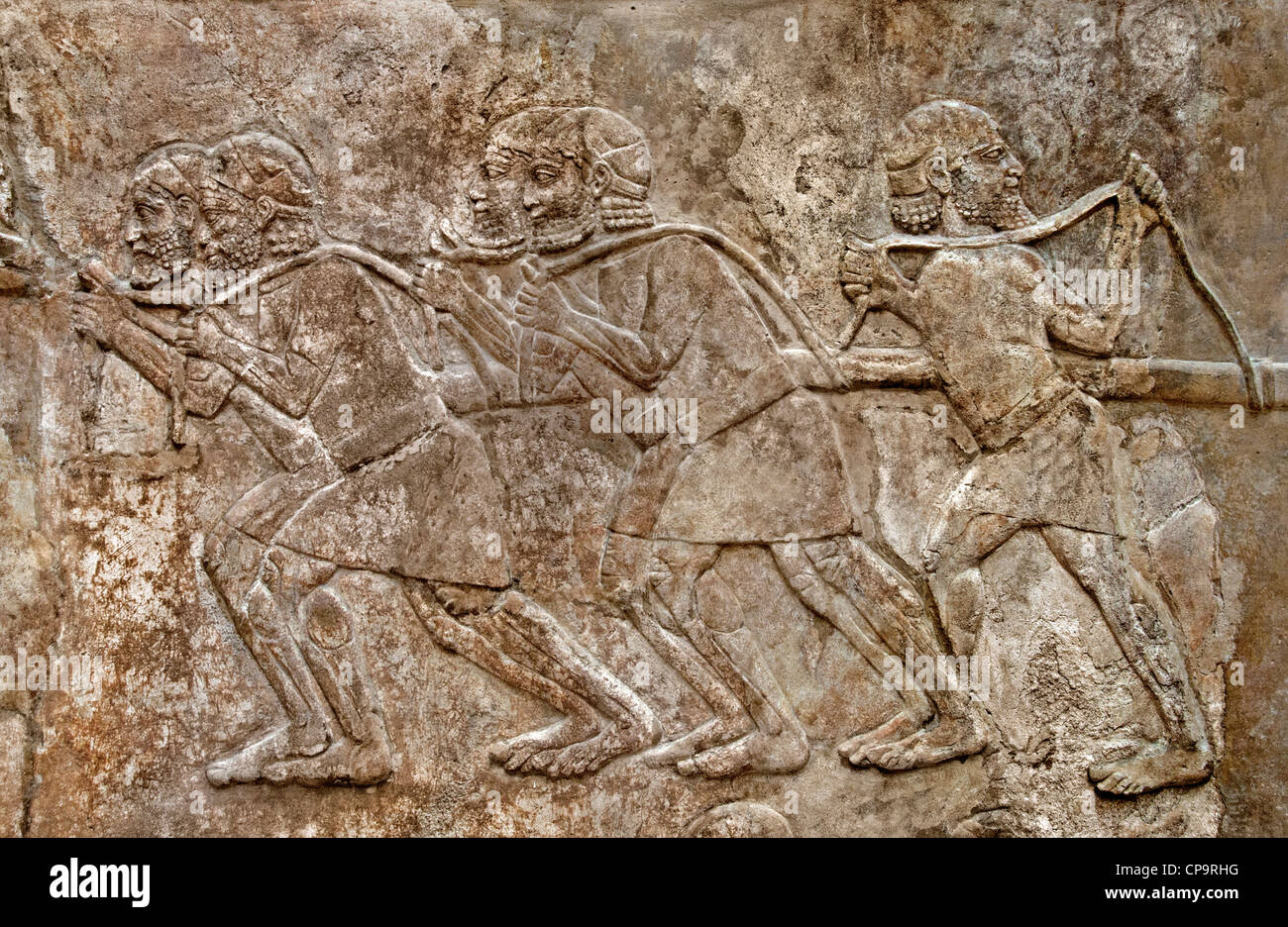 Transporting wood sargon hi-res stock photography and images - Alamy