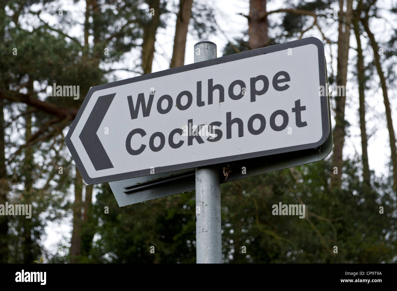 Rural road sign for WOOLHOPE and COCKSHOOT near the village of Putley ...