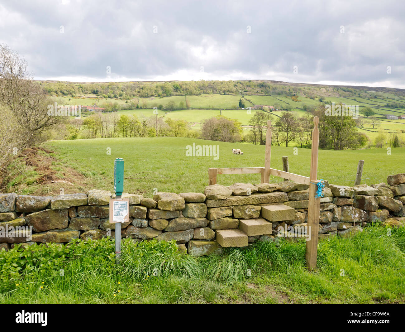 Public Footpath with a step stile over a drystone wall in Fryup Dale in ...