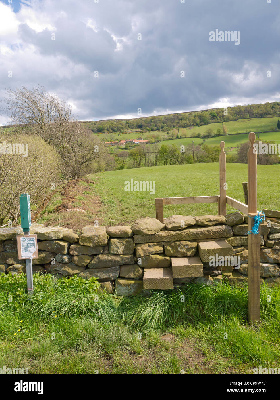 Public Footpath with a step stile over a drystone wall in Fryup Dale in ...