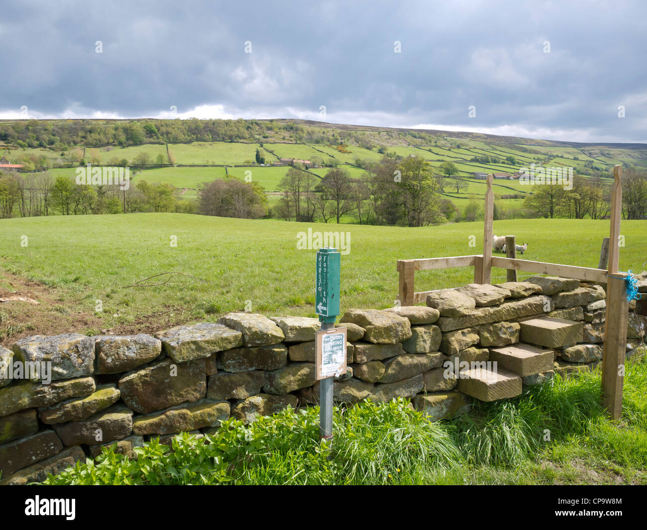 Public Footpath with a step stile over a drystone wall in Fryup Dale in ...