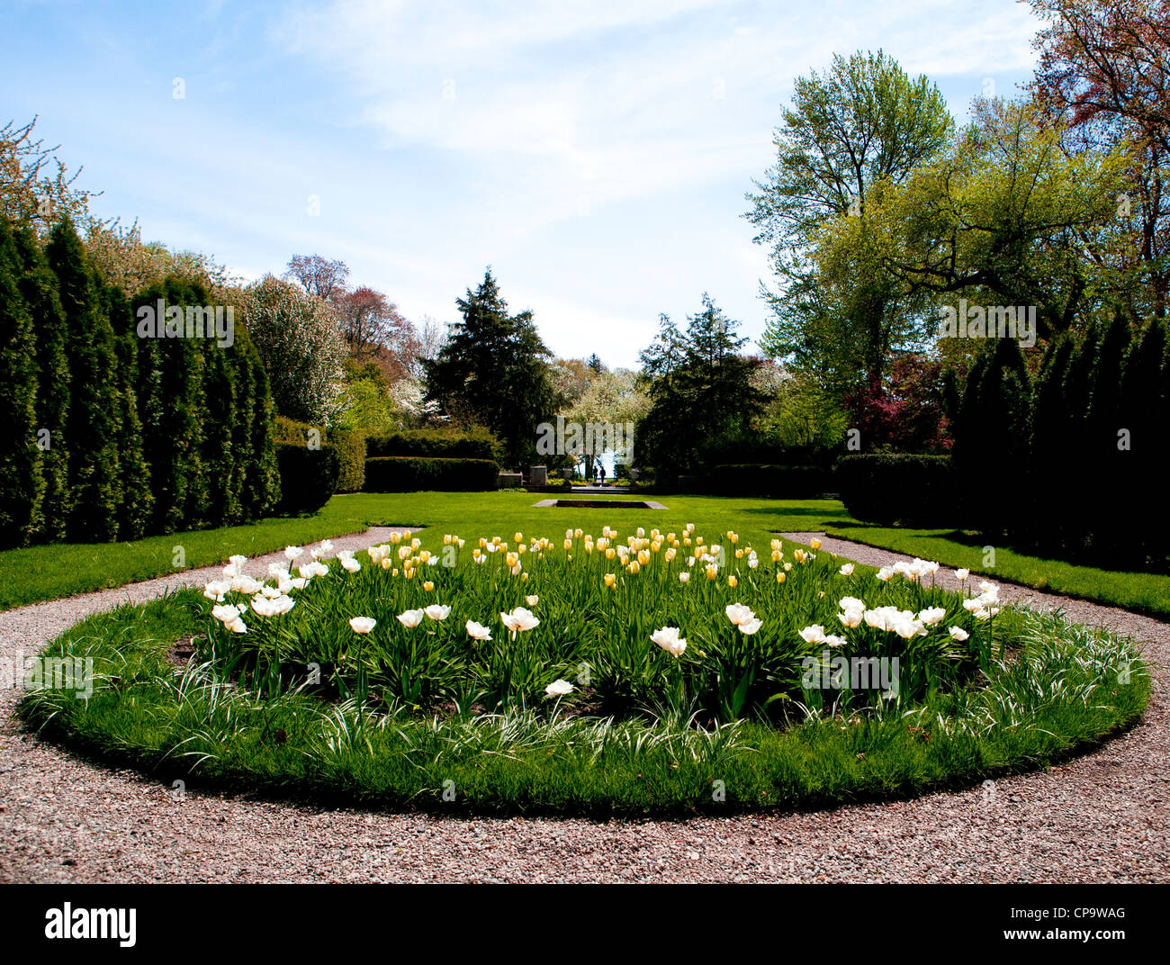 Spring flowers are blooming in the formal spring garden Stock Photo - Alamy