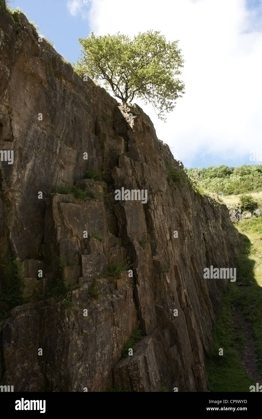 Cheddar Gorge, Somerset, England Stock Photo - Alamy