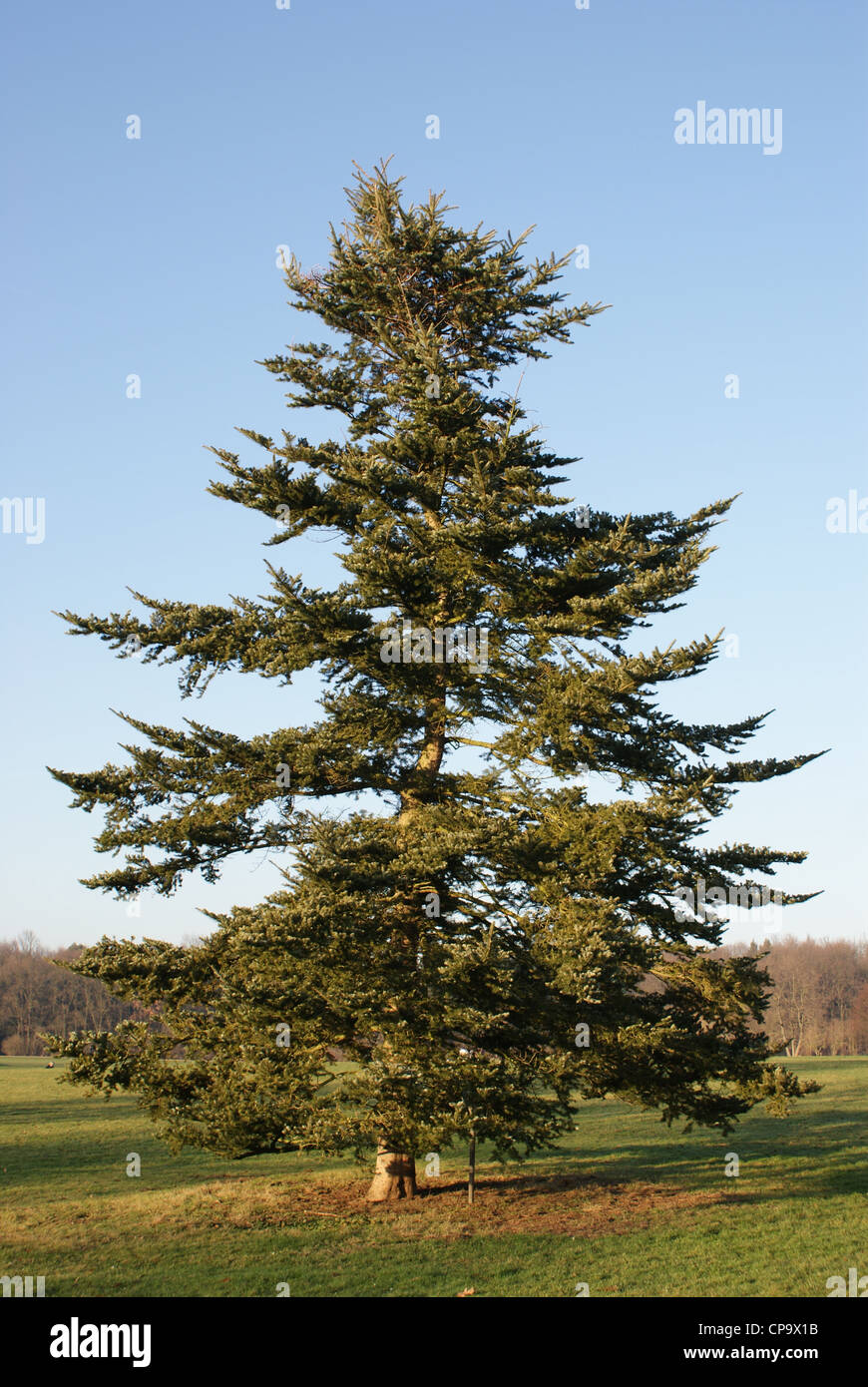 Cologne germany botanical garden hi-res stock photography and images ...