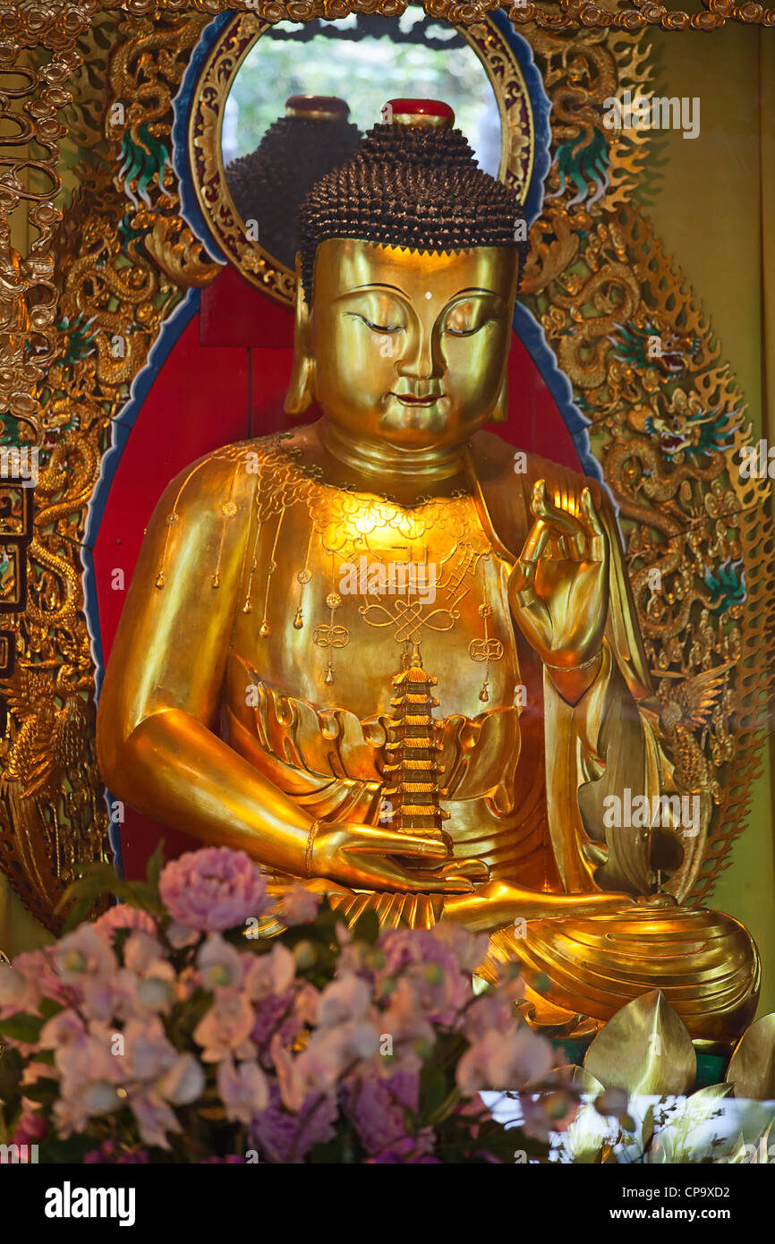 Interior of the Po Lin monastery on Lantau Island (Hong Kong Stock ...