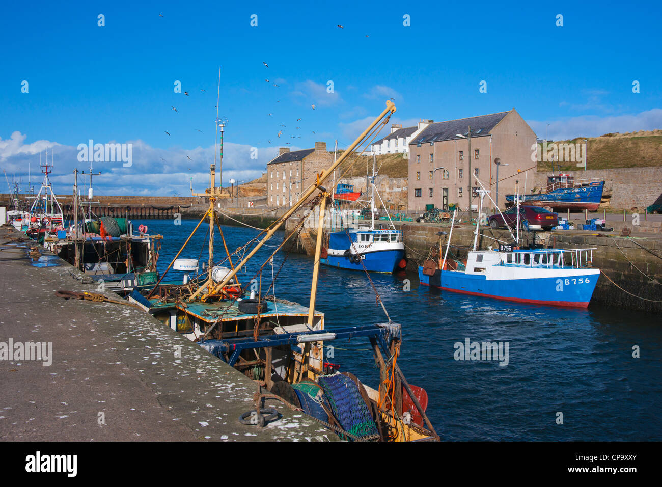 Burghead harbour, Moray Firth, Scotland Stock Photo - Alamy