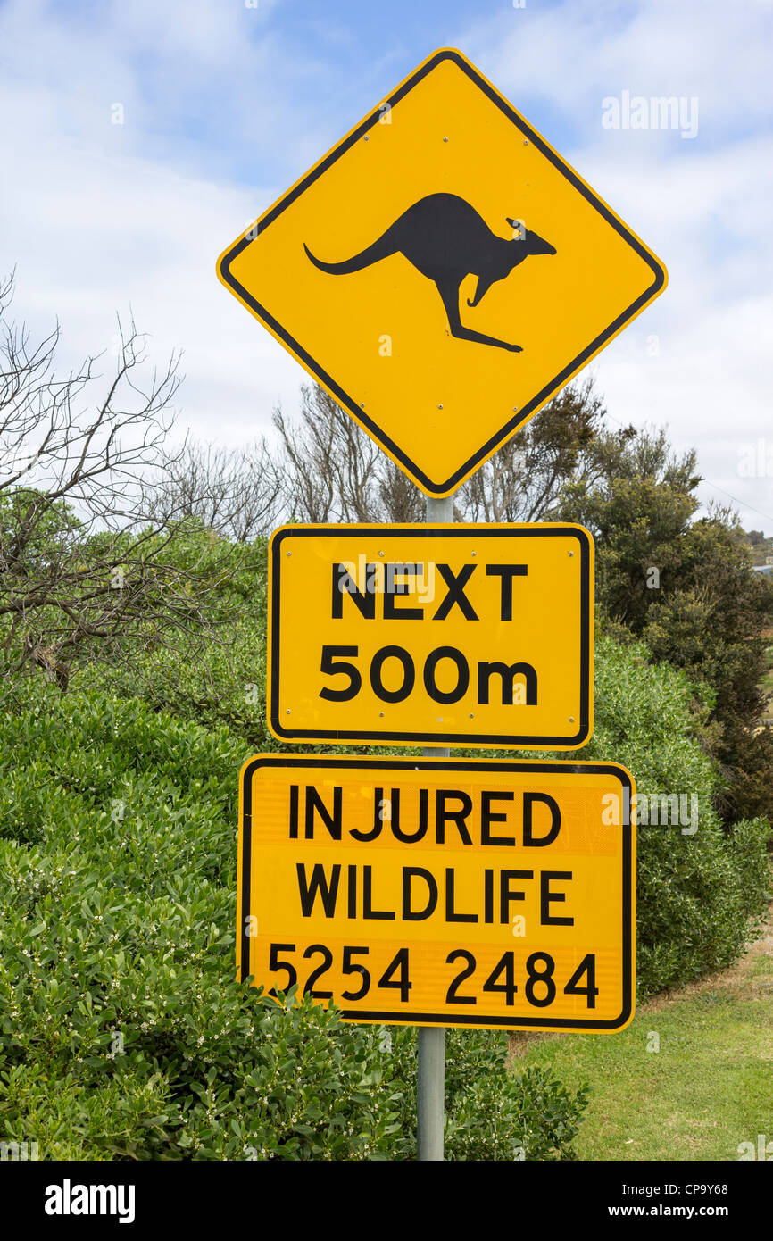 Beware of wildlife hi-res stock photography and images - Alamy