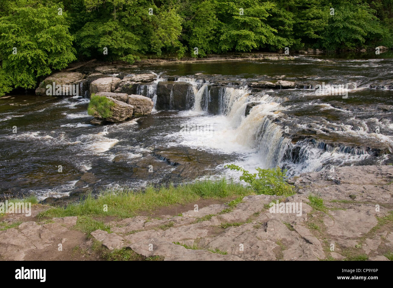 River Ure cascading & flowing over stepped limestone rocks at Lower ...