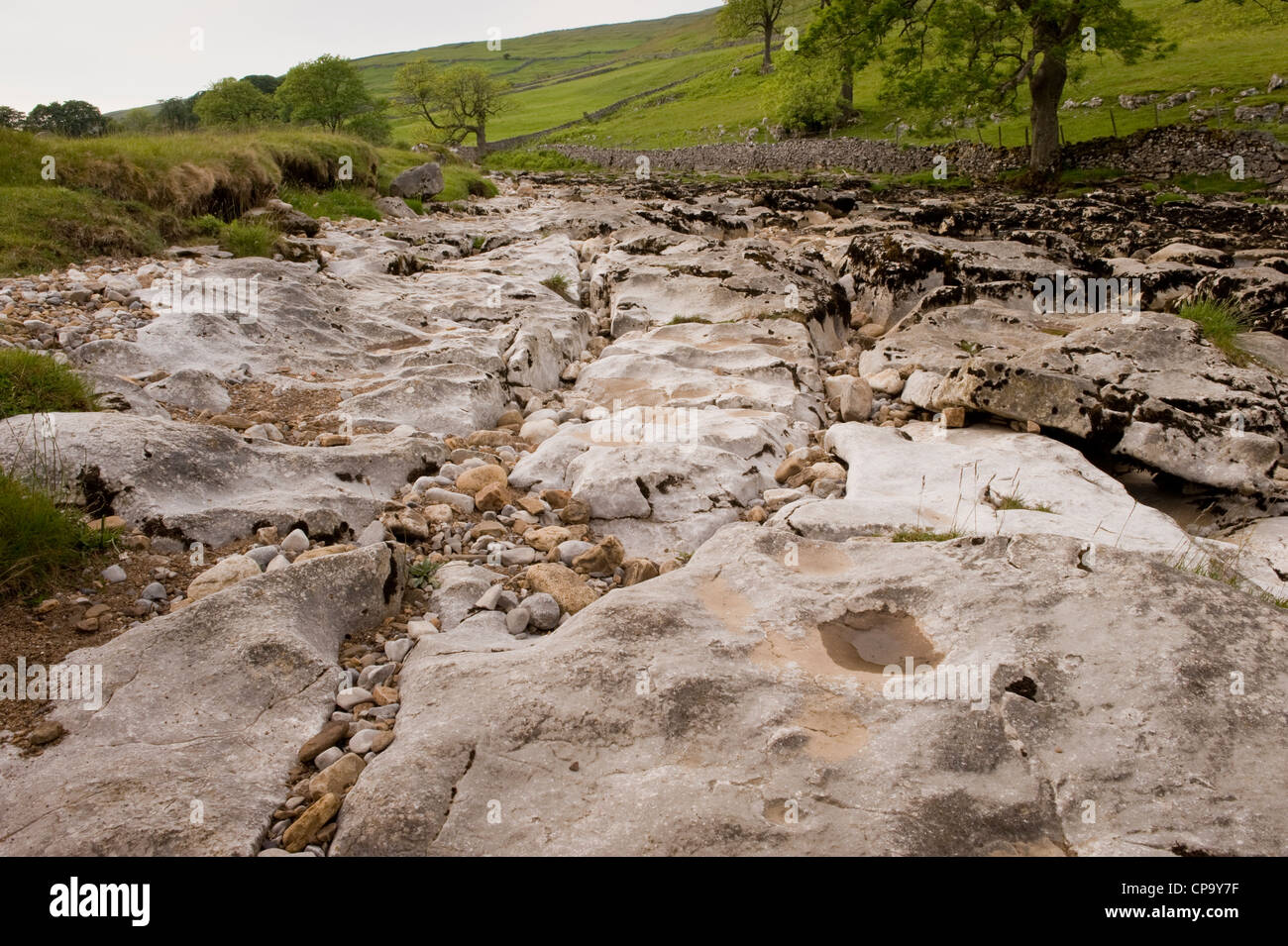 River Wharfe (close-up) in summer drought (pebbles, stones & rocks line ...