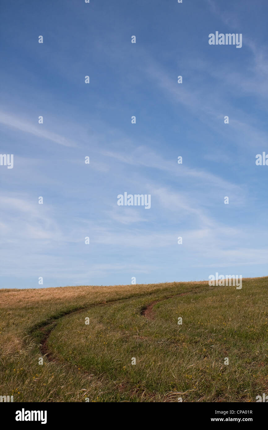 path in an empty rural field landscape Stock Photo - Alamy