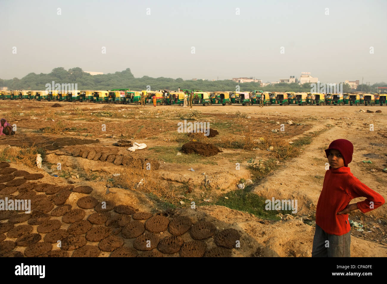 Cow dung india fuel hi-res stock photography and images - Alamy