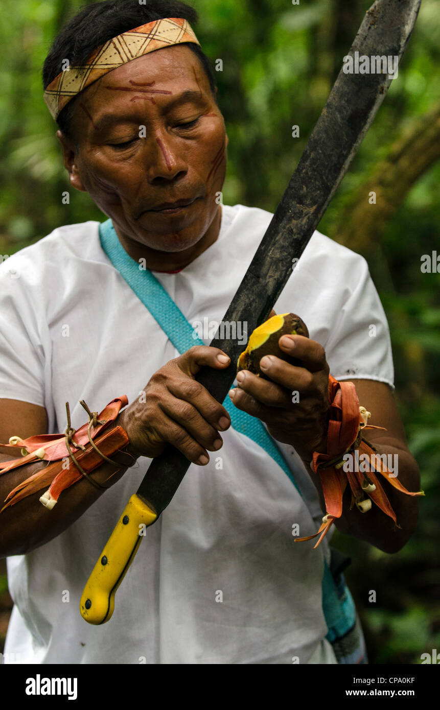 Secoya people amazon rainforest hi-res stock photography and images - Alamy