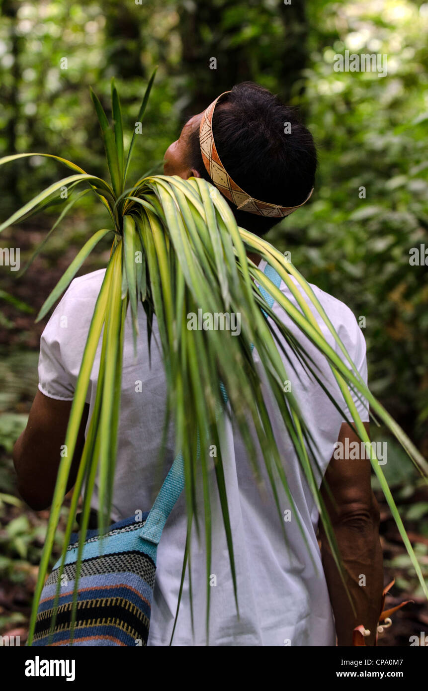Secoya people amazon rainforest hi-res stock photography and images - Alamy