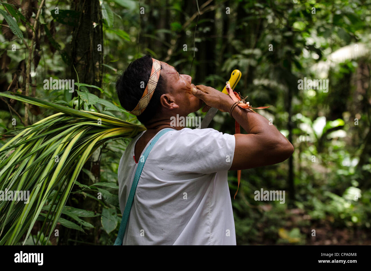 Secoya tribe at Secoya lodge Amazon basin alongside Aguarico river ...