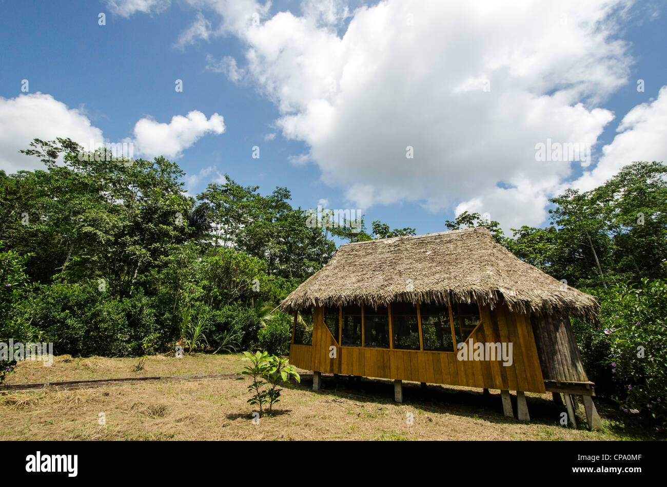 Secoya tribe at Secoya lodge Amazon basin alongside Aguarico river ...