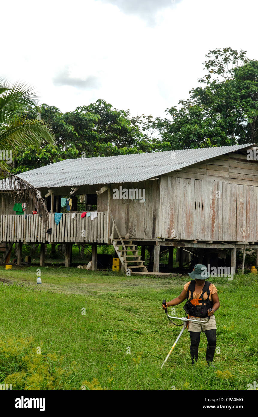 Secoya tribe at Secoya lodge Amazon basin alongside Aguarico river ...