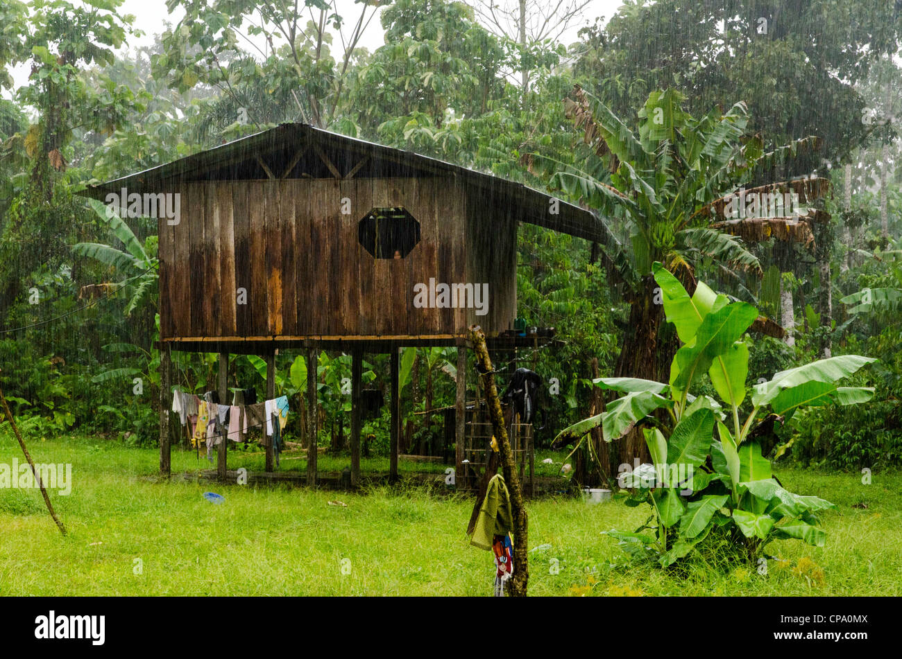 Secoya people amazon rainforest hi-res stock photography and images - Alamy