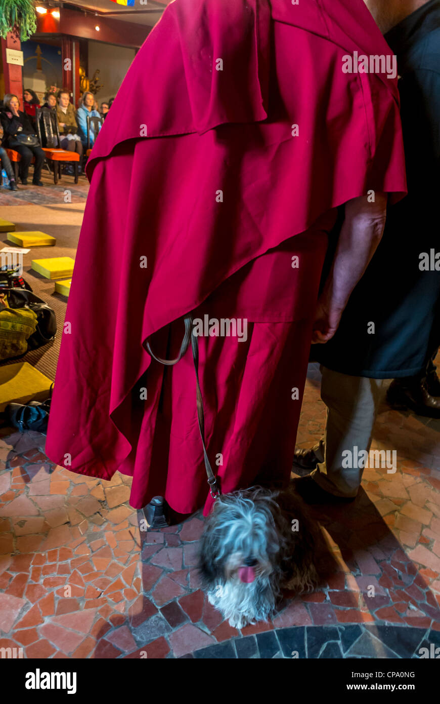 Paris, France, French Buddhist Monk From Behind, Standing, Holding Dog ...