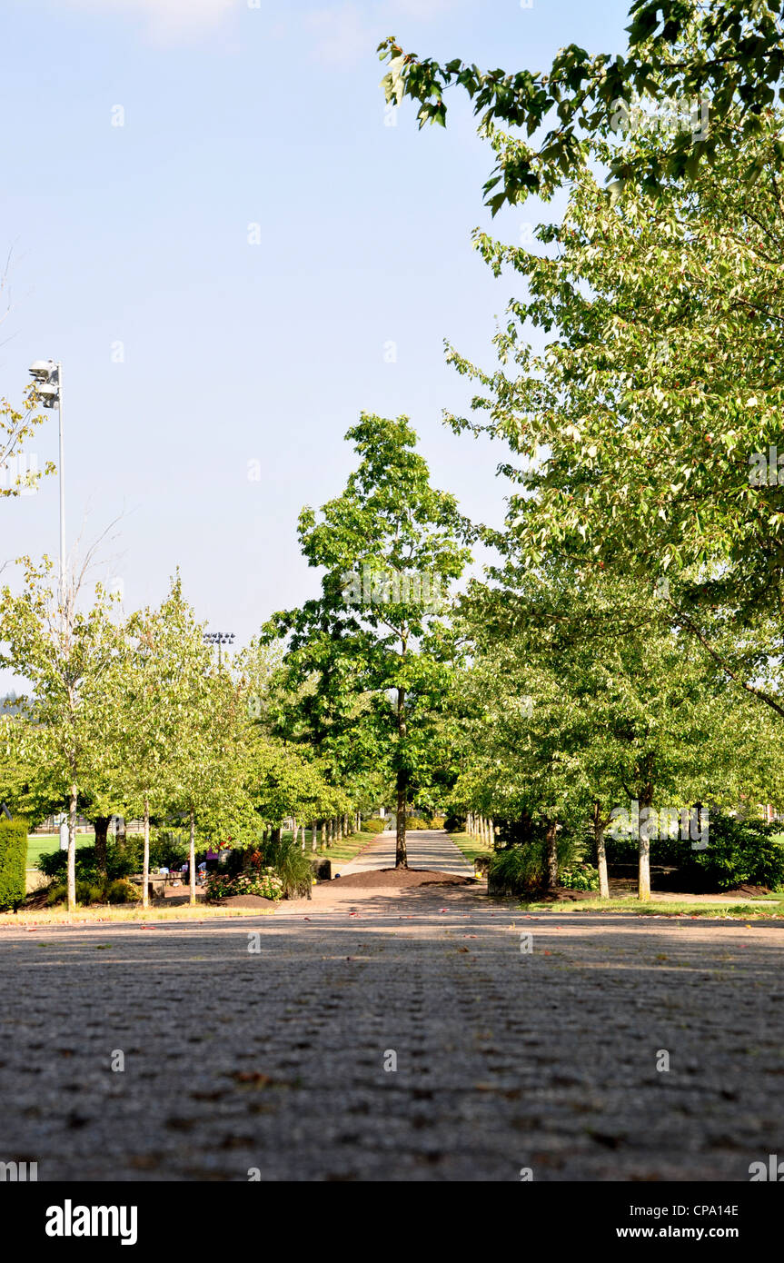 Nature park view Stock Photo - Alamy