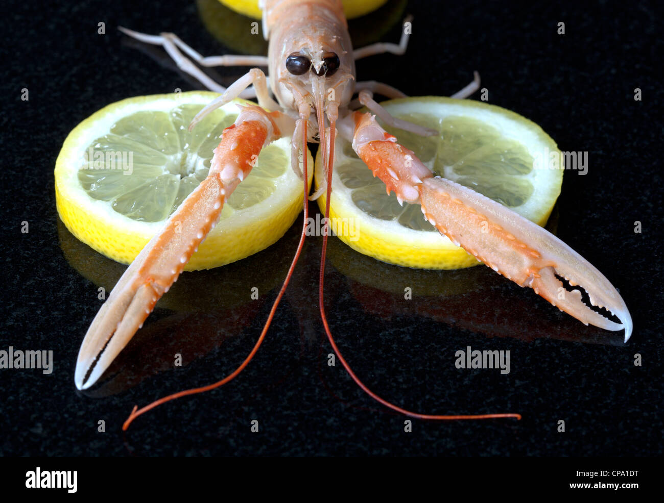 Langoustine hi-res stock photography and images - Alamy
