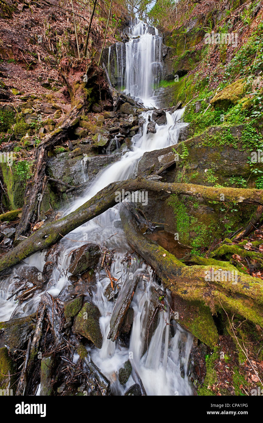 Cleddon Falls, Llandogo Stock Photo - Alamy