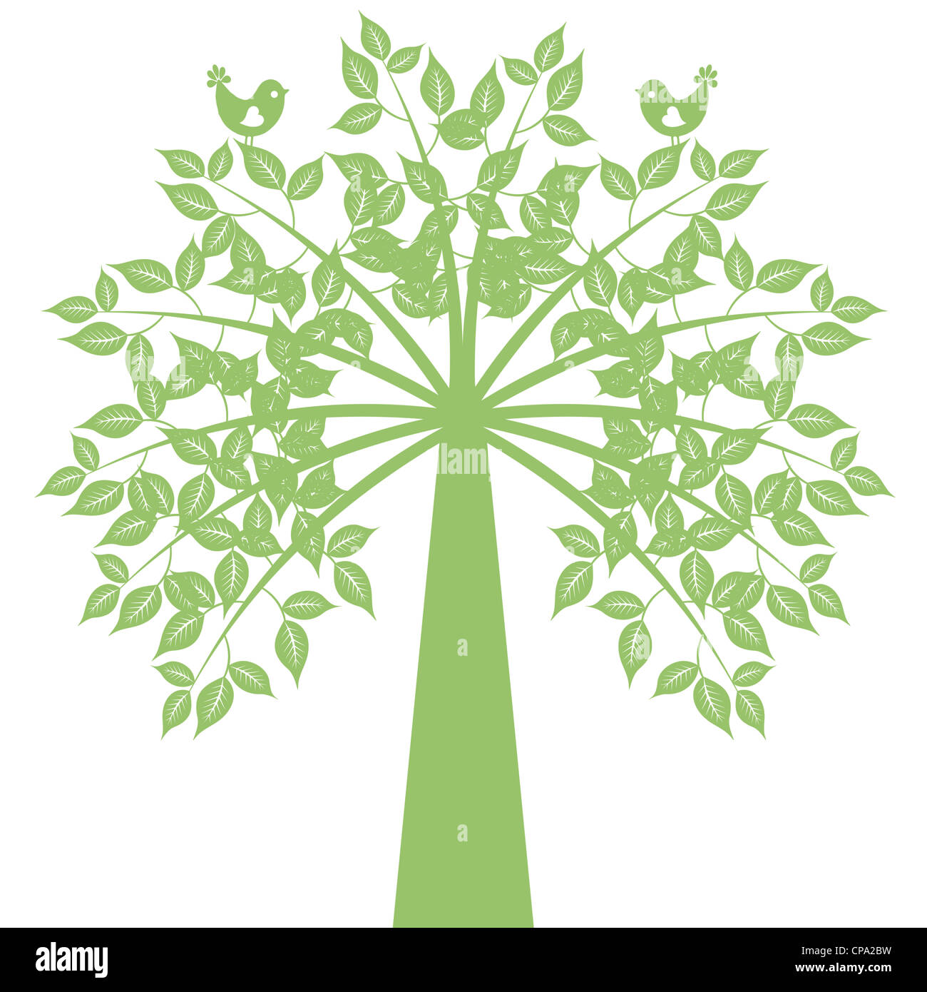 Beautiful art tree isolated on white background Stock Photo - Alamy