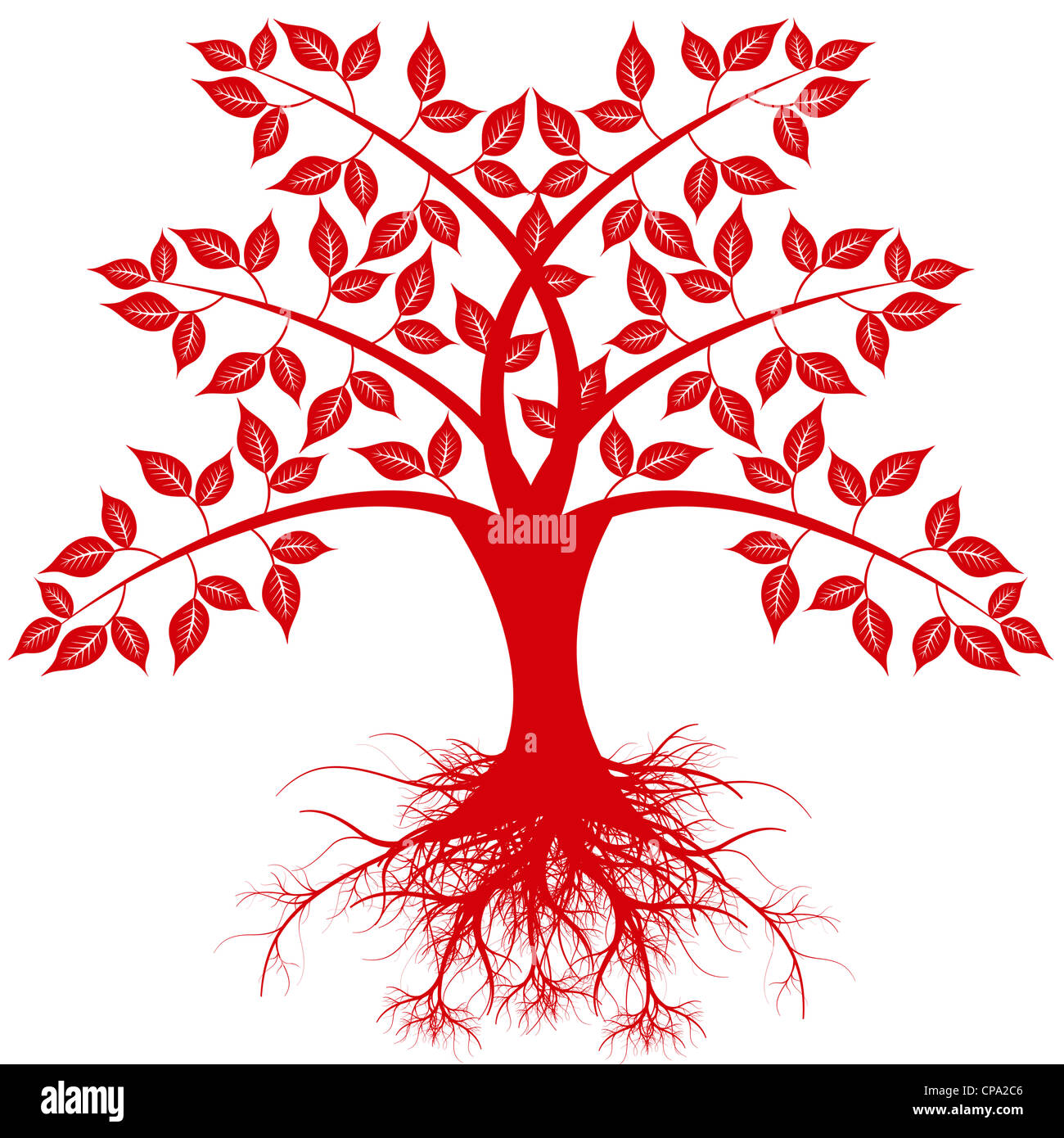 Beautiful art tree isolated on white background Stock Photo - Alamy