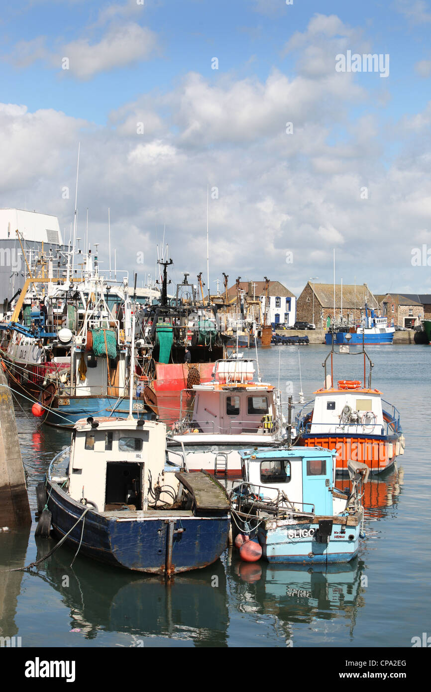 Howth harbour and marina hi-res stock photography and images - Alamy