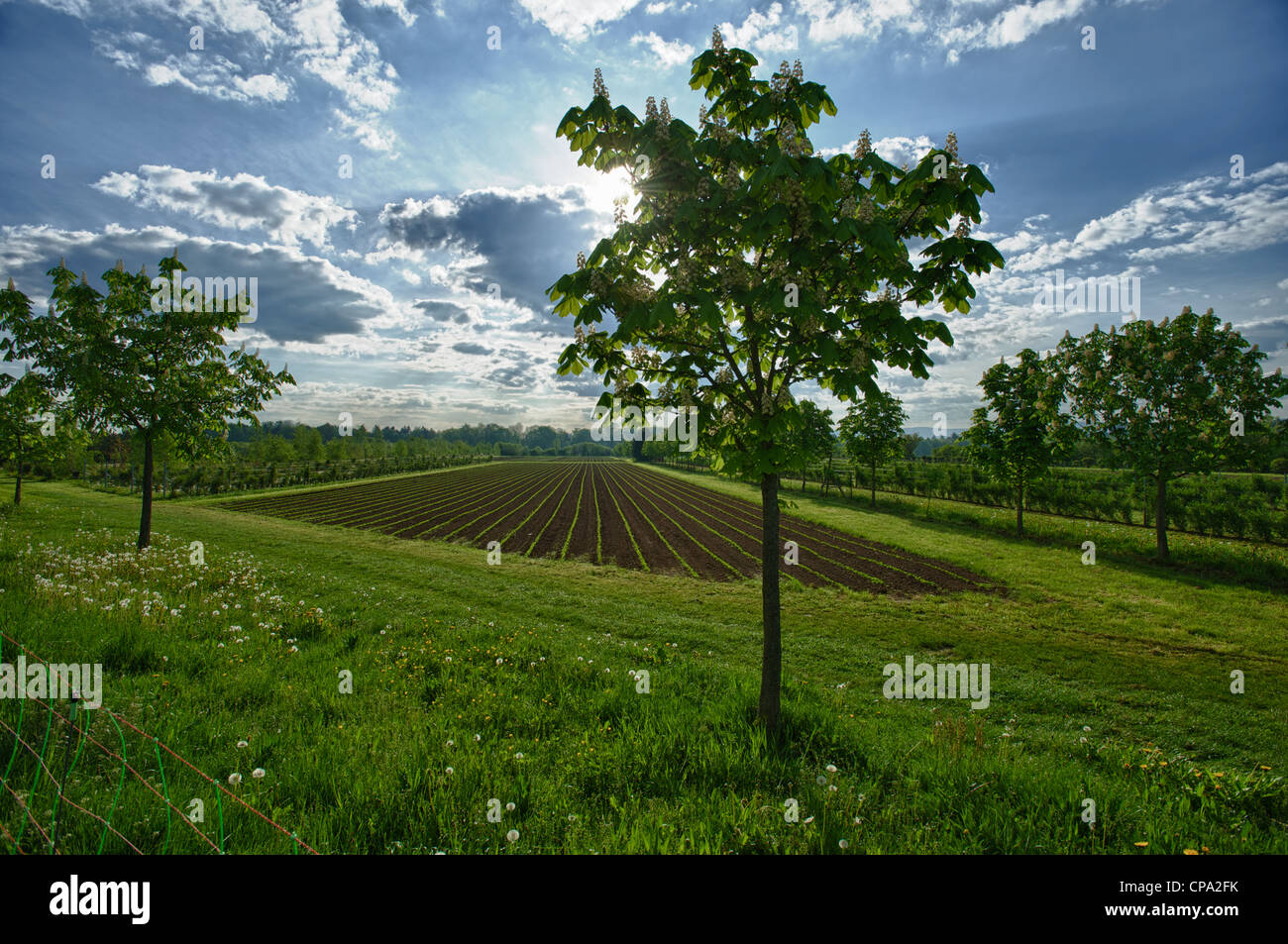 Weleda hi-res stock photography and images - Alamy