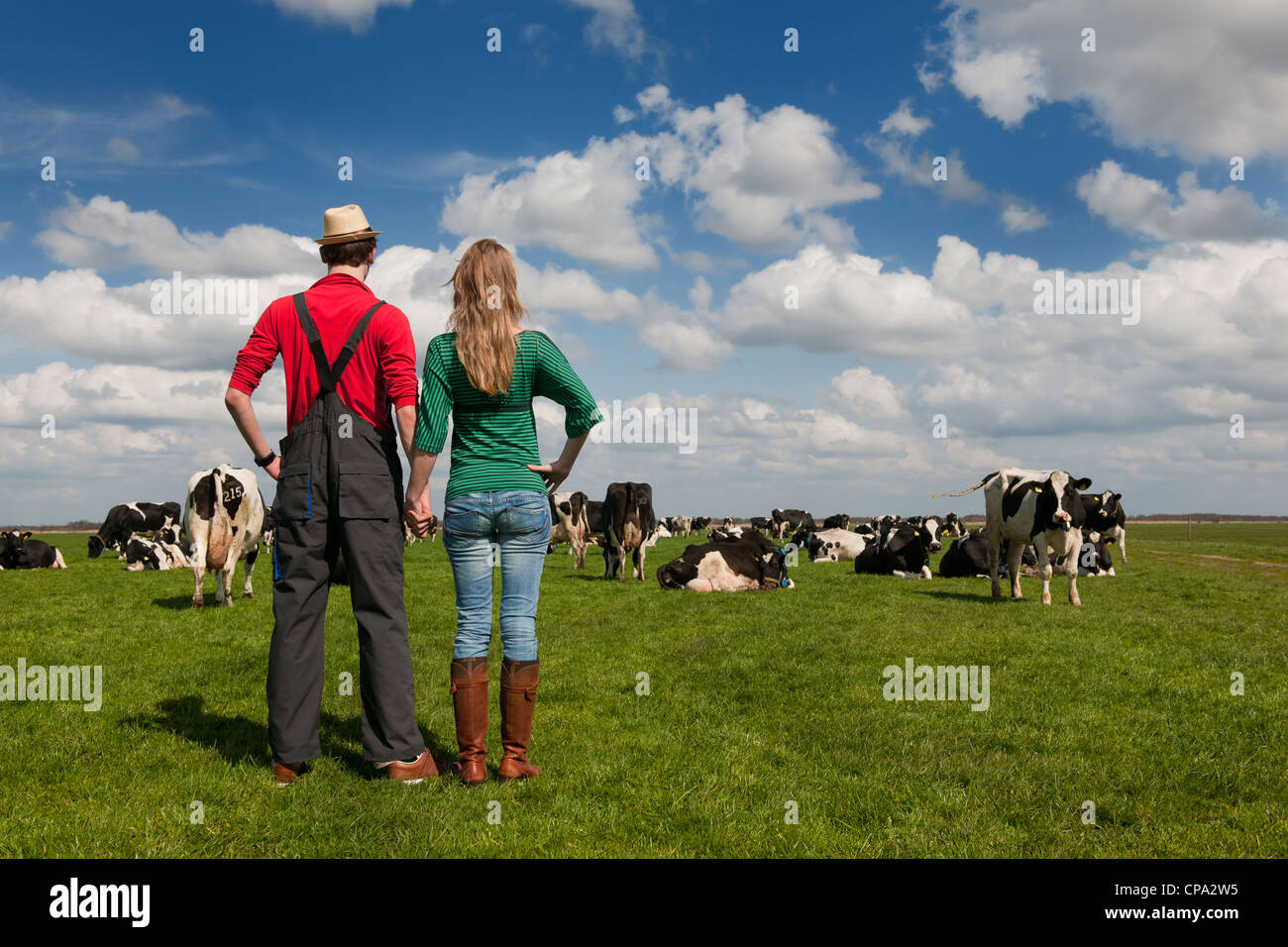 Typical Dutch landscape with farmers couple black and white cows in the ...