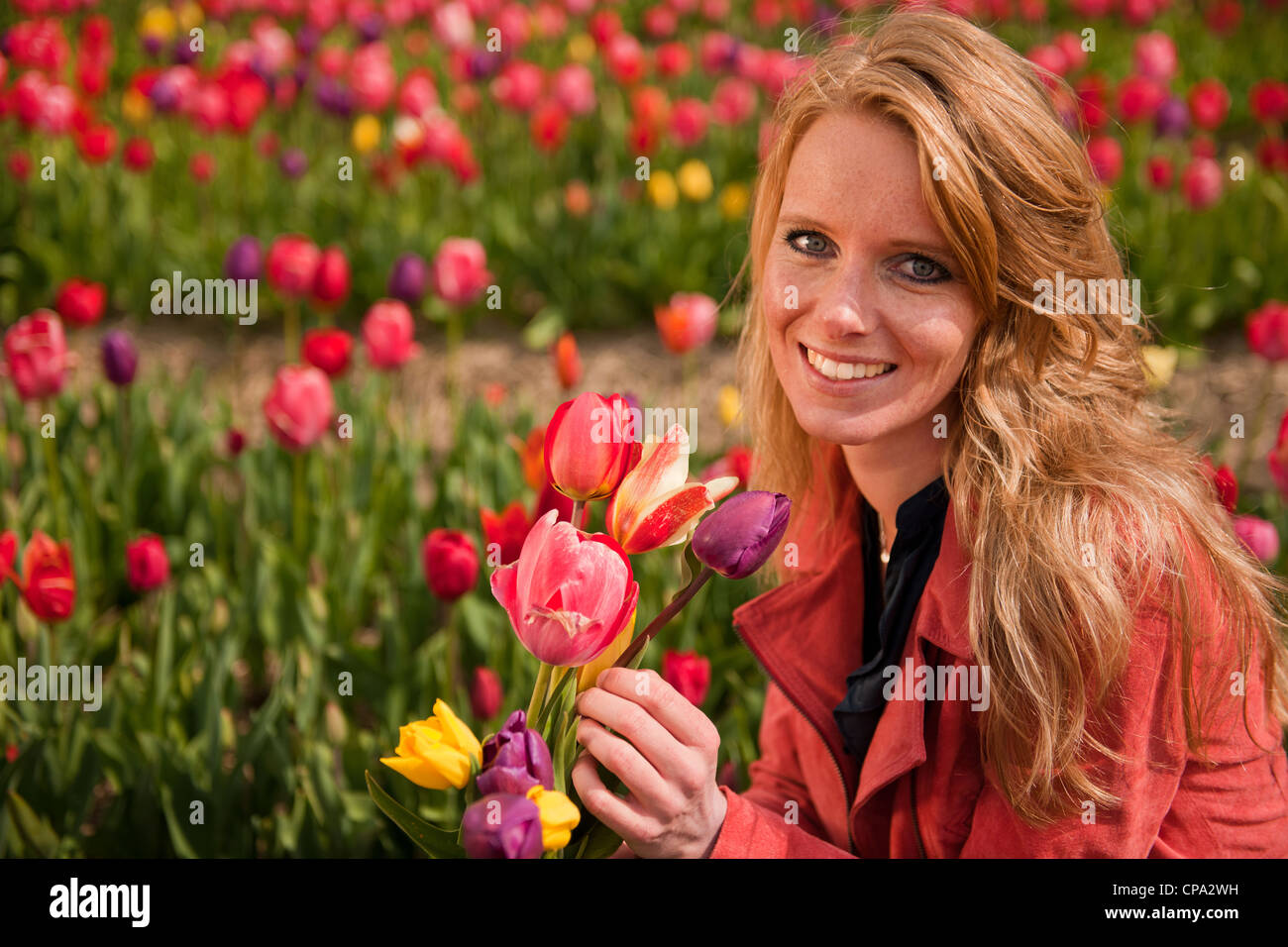 Portrait of a beautiful blond Dutch girl in tulips field Stock Photo ...