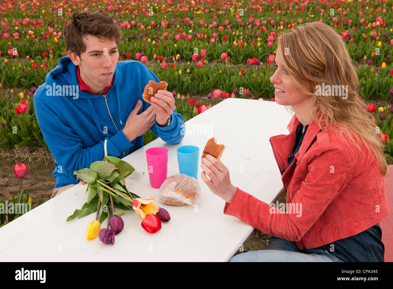 Young couple is having picnic in Dutch flower fields Stock Photo - Alamy