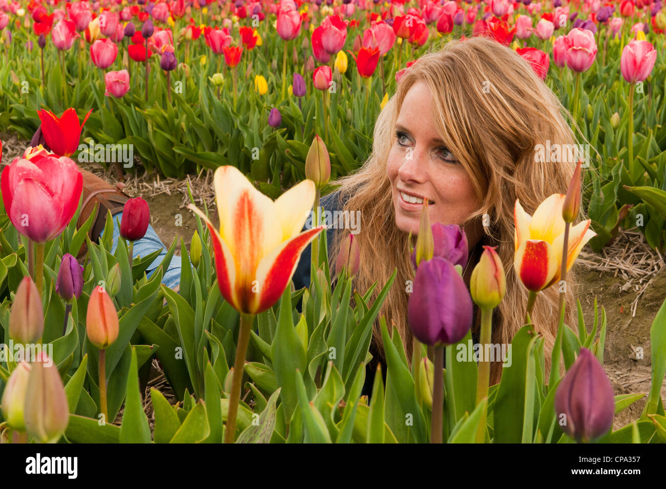 Portrait of a beautiful blond Dutch girl in tulips field Stock Photo ...