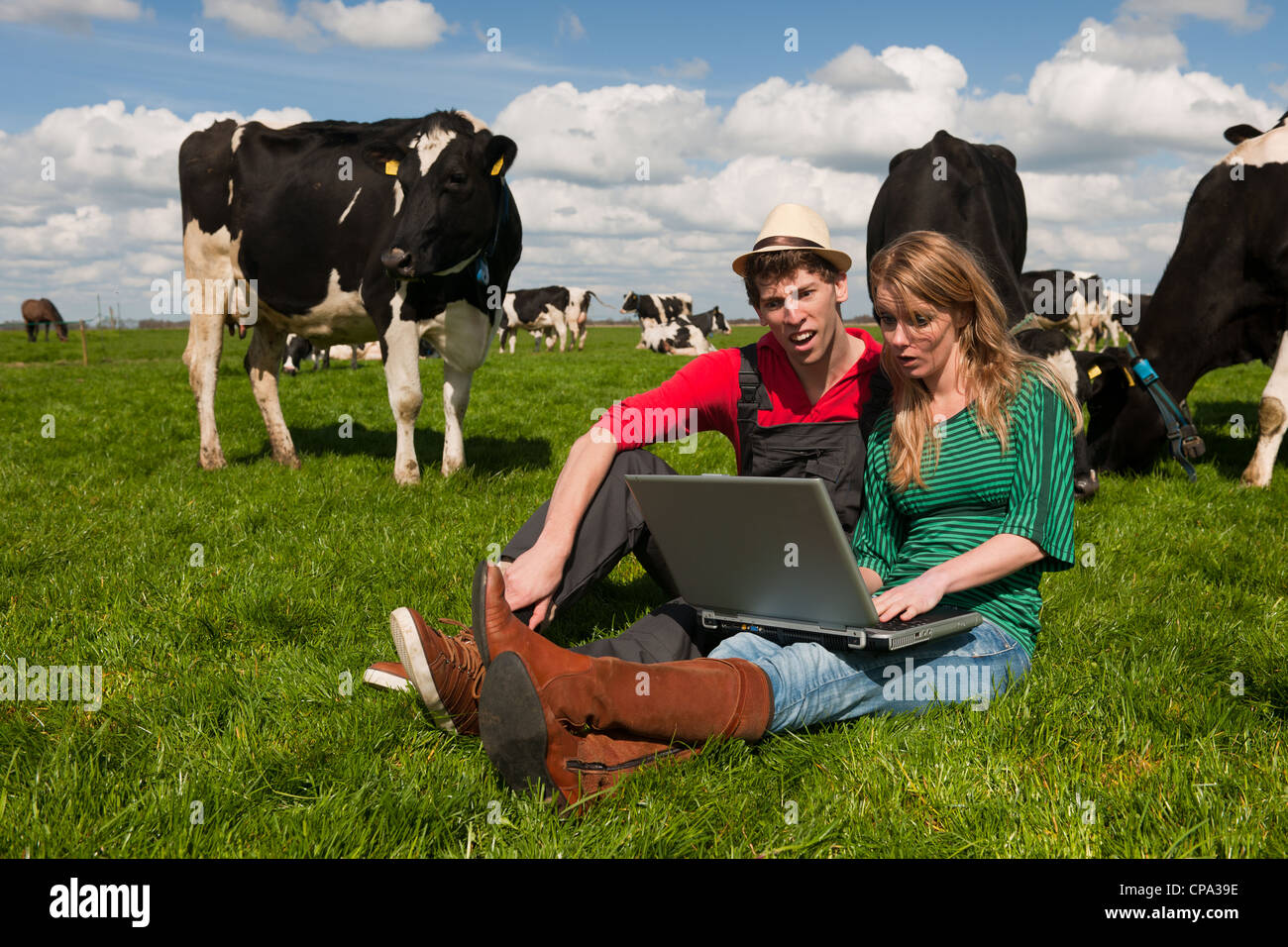 Young couple farmers in farm field with laptop and black and white cows ...