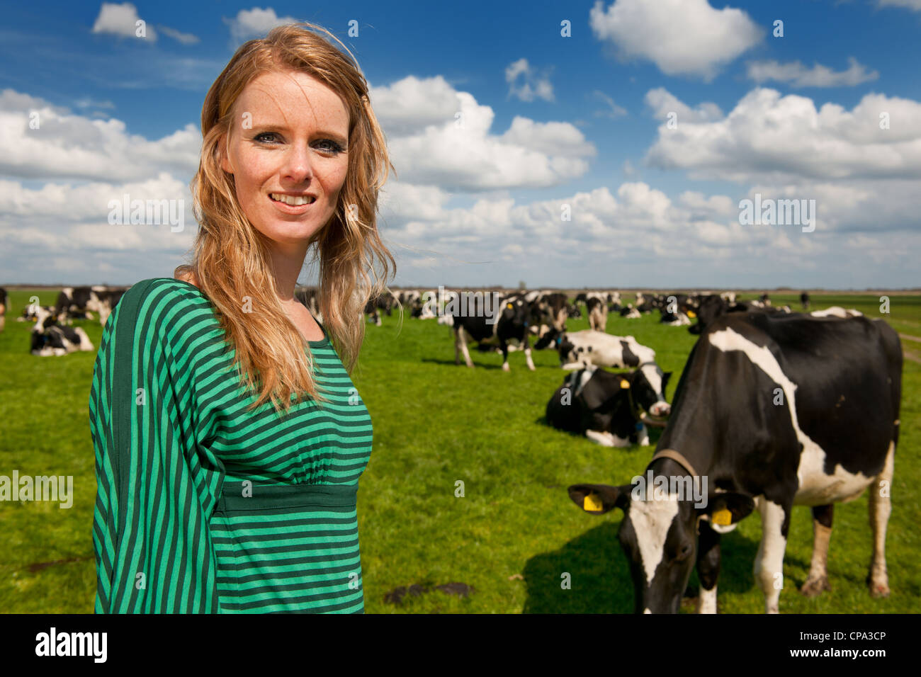 Young blond Dutch girl in farm field with black and white cows Stock ...