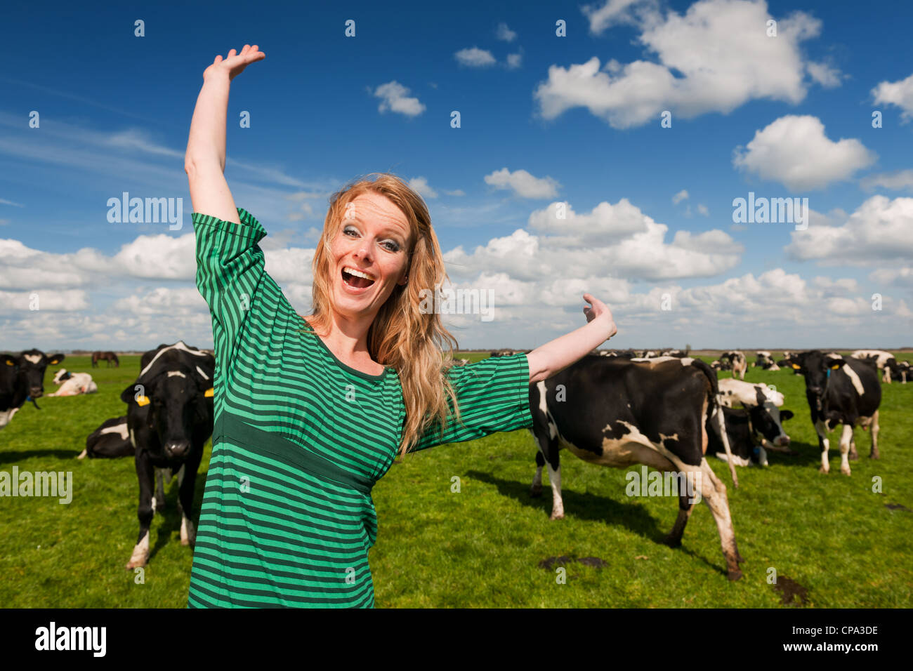 Young blond Dutch girl happy in farm field with black and white cows ...