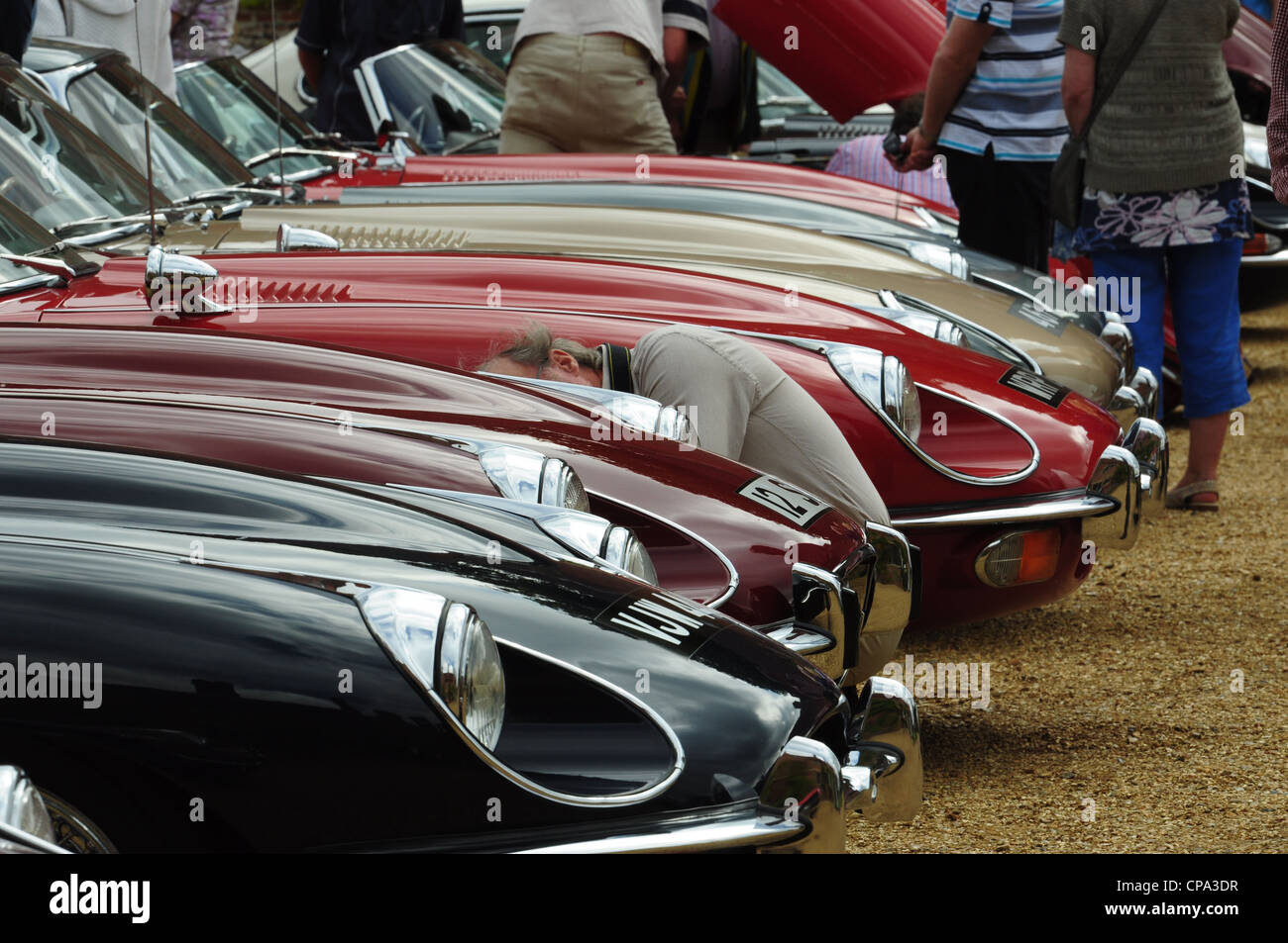 E-type Jaguar rally Stock Photo - Alamy