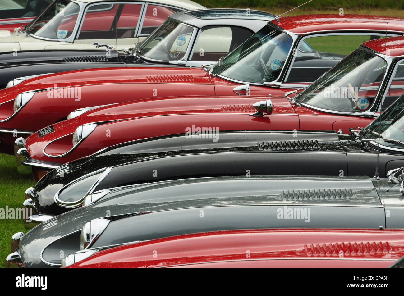 E-type Jaguar rally Stock Photo - Alamy