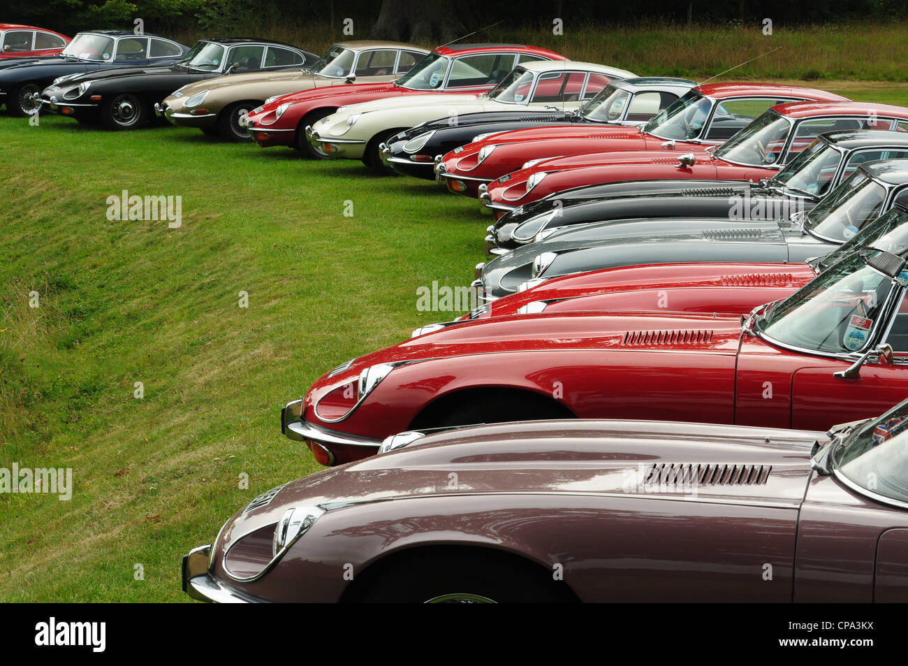 E-type Jaguar rally Stock Photo - Alamy