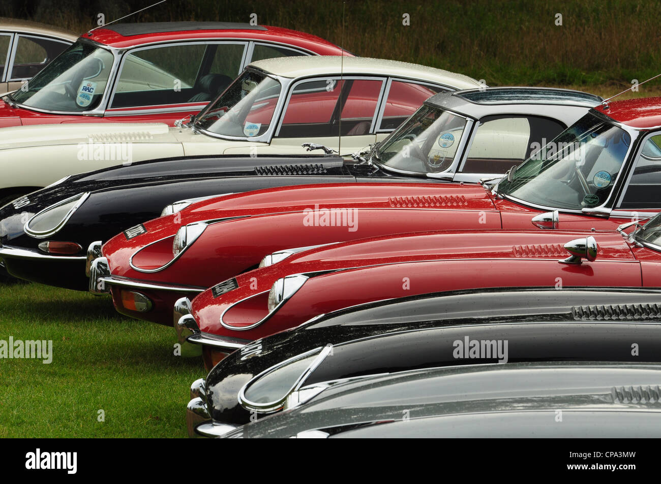 Rally sports car hi-res stock photography and images - Alamy