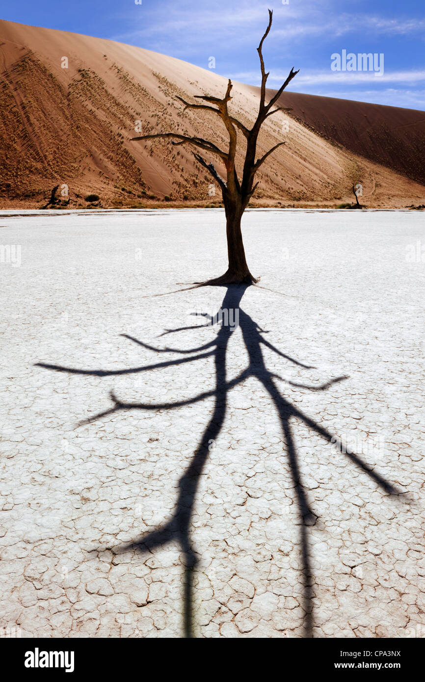 Back river namibia hi-res stock photography and images - Alamy