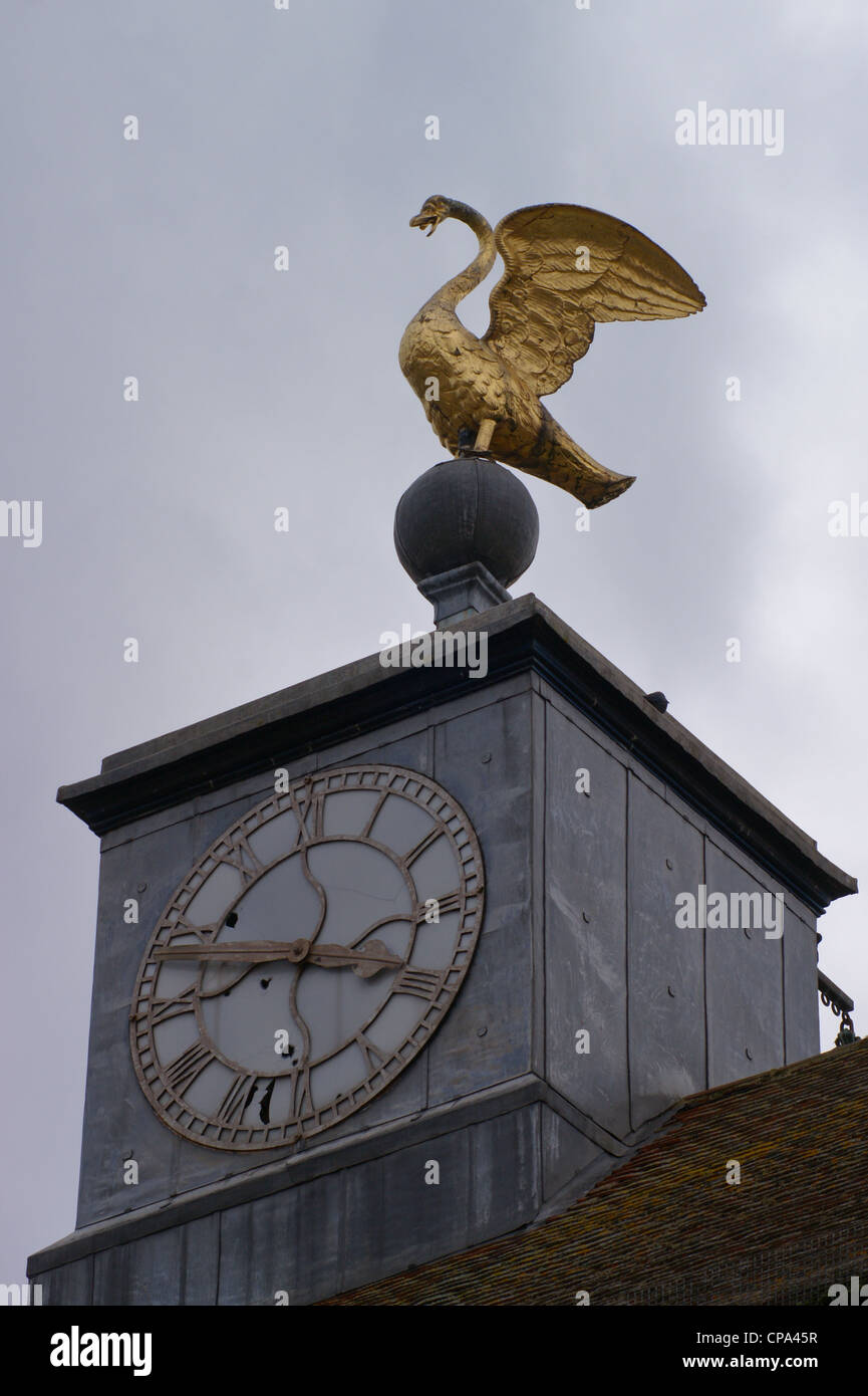 Coronet swan hi-res stock photography and images - Alamy