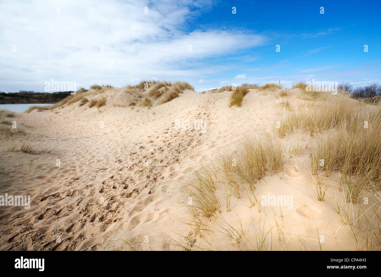 Sand dunes in holland desert hi-res stock photography and images - Alamy